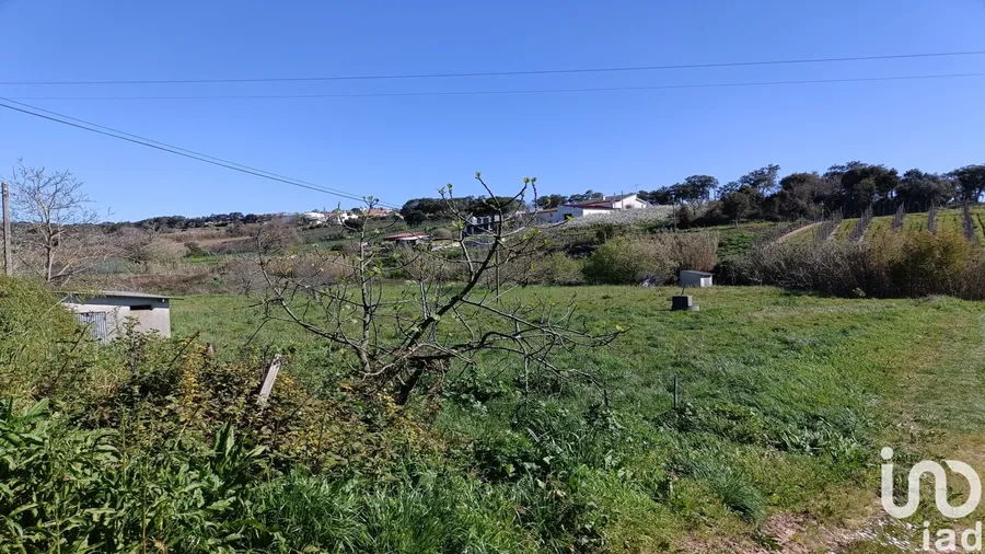 0 land with terrace for sale in Évora de Alcobaça - iad