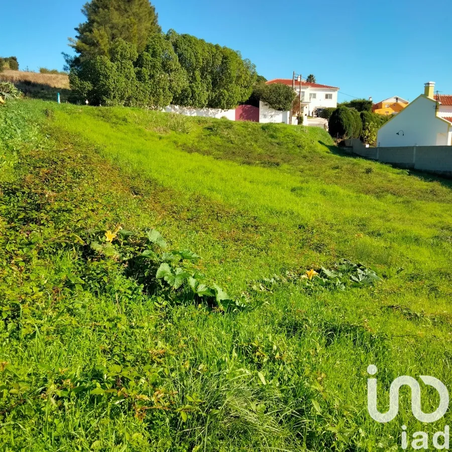 7 properties in Santa Maria, São Pedro e Sobral da Lagoa - iad