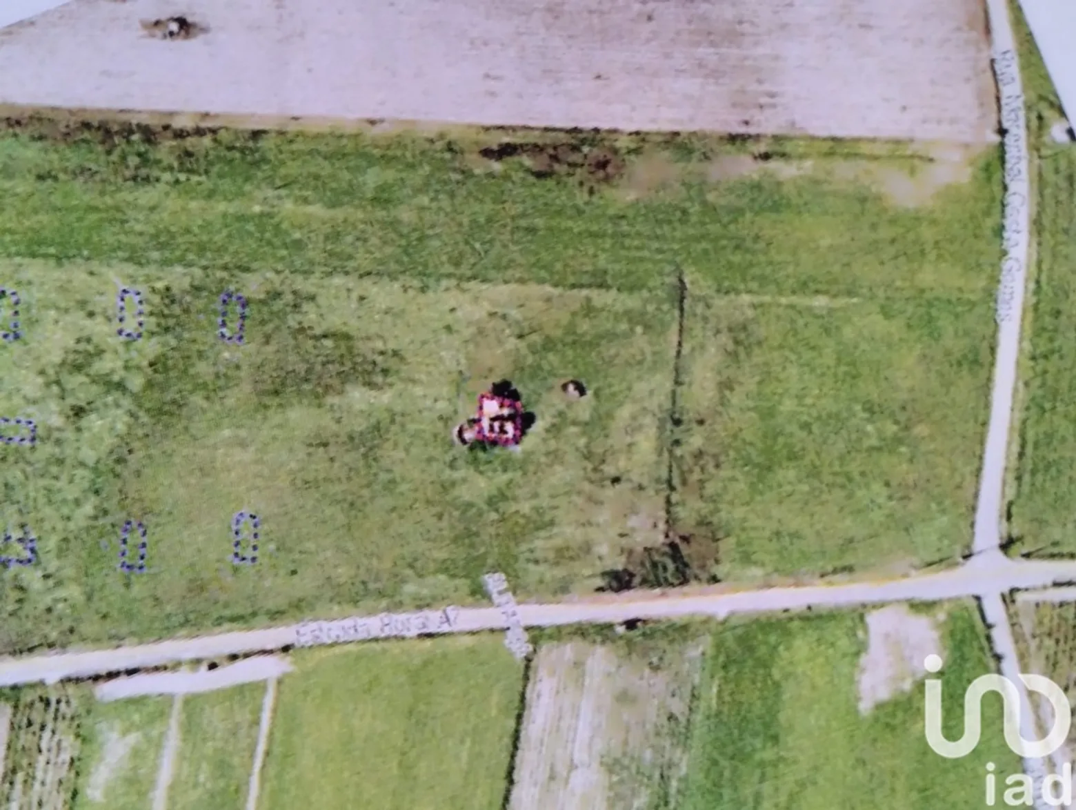 Sale land in Alpiarça (2090-209): land 22,000 m² - 137132 - iad